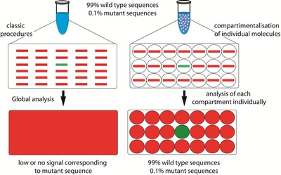 Laboratoire de biochimie : Digital Diagnostics