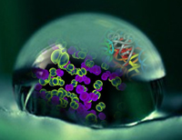 Laboratoire de biochimie : Our core technology: droplet-based microfluidics